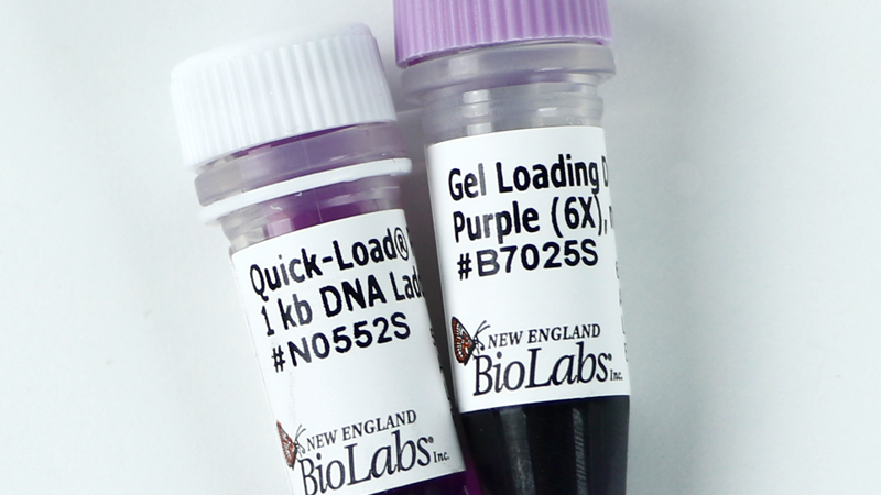 Dna Loading Dye Recipe | Deporecipe.co